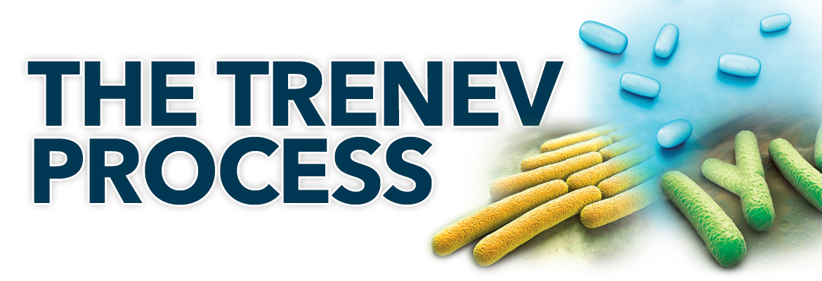 Protren.com: The Trenev Process